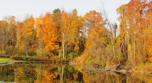A Salute to the Dawn of Autumn – Oakland County Blog