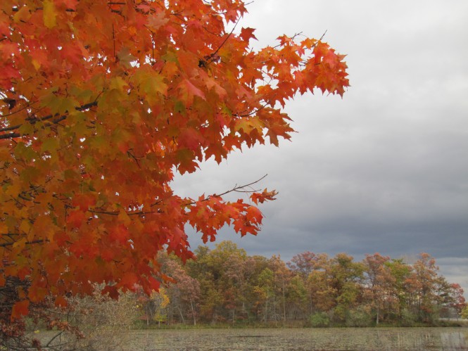 Red October: A landscape of beauty-harboring itchy secrets – Oakland ...