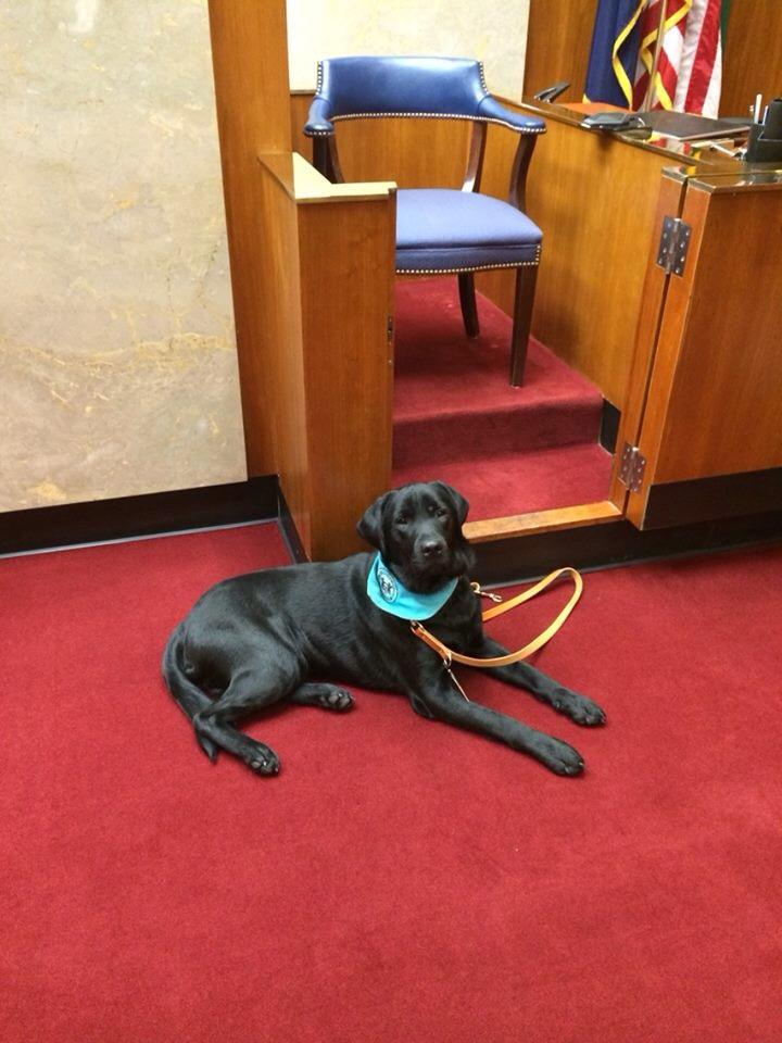 The Canine Advocacy Program – Oakland County Blog