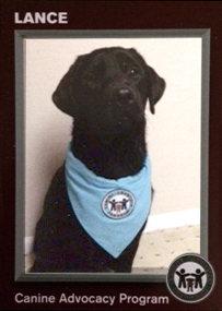 The Canine Advocacy Program – Oakland County Blog