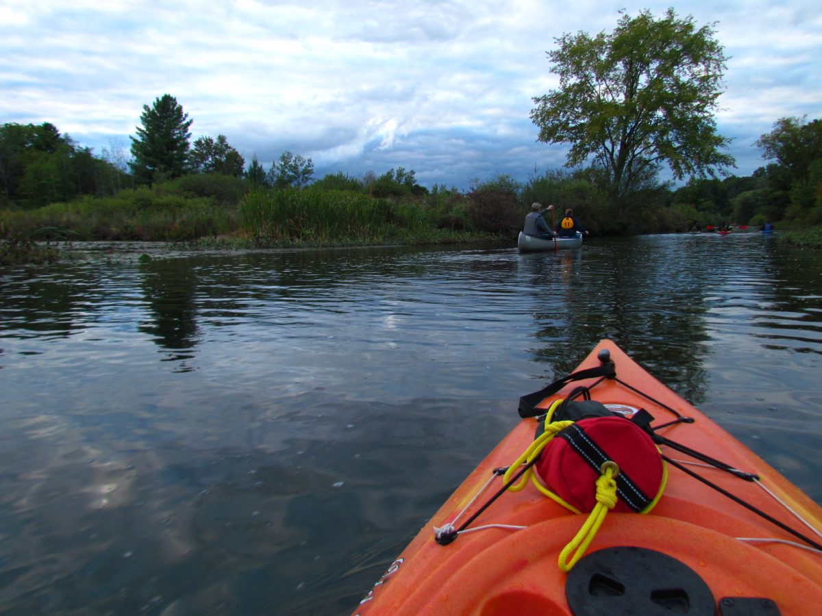 Pleasurable Summer Paddles – Oakland County Blog