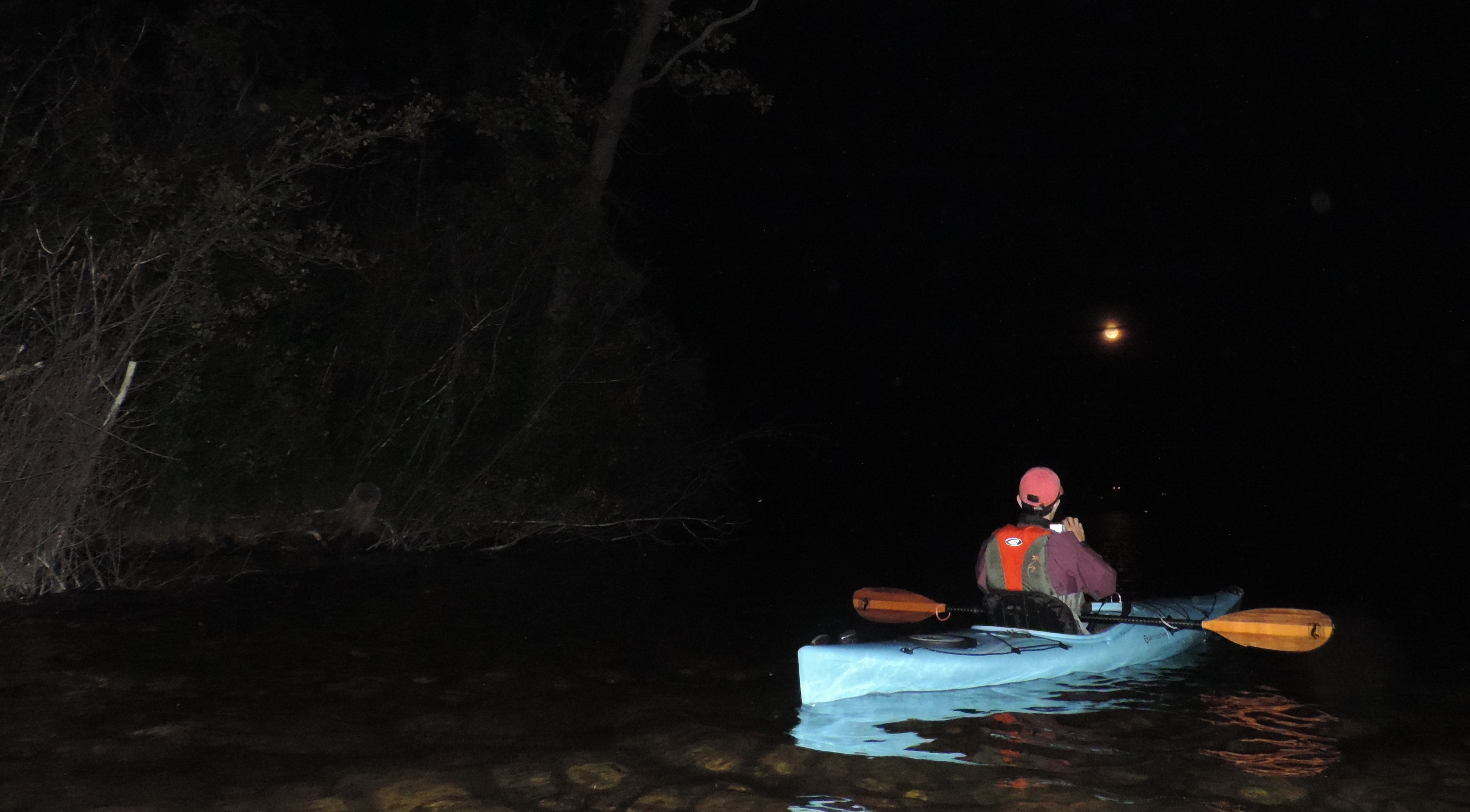 Pleasurable Summer Paddles – Oakland County Blog