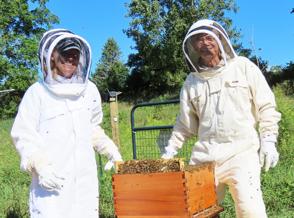 Confessions of a Newbie Beekeeper – Oakland County Blog