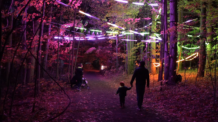 Explore the Interactive Light Show at Glenlore Trails – Oakland County Blog