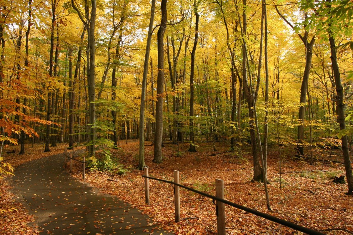 Oakland County Parks and Recreation 2022 Annual Vehicle Permits Now ...