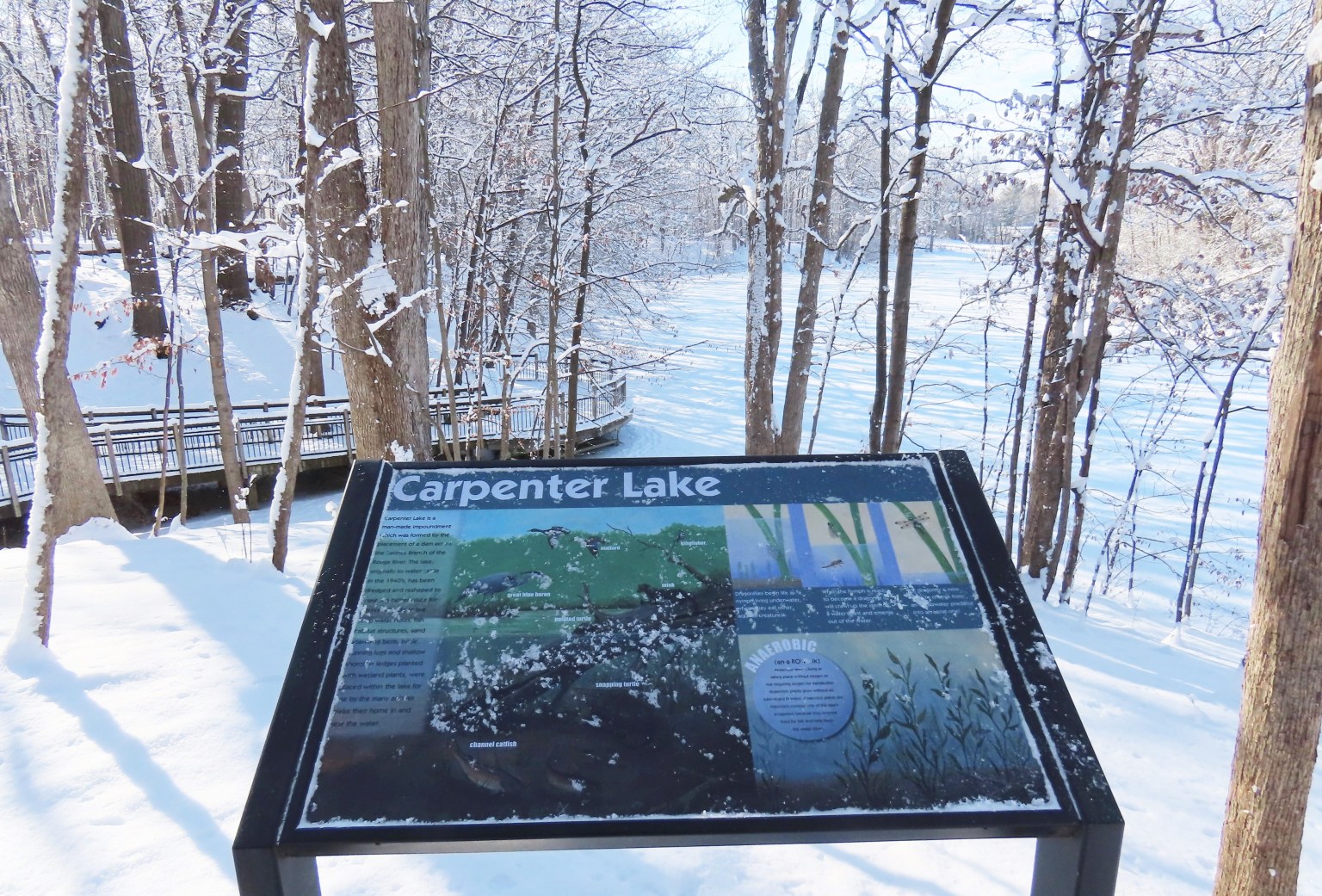 Carpenter Lake: Southfield’s Wildland Gem – Oakland County Blog