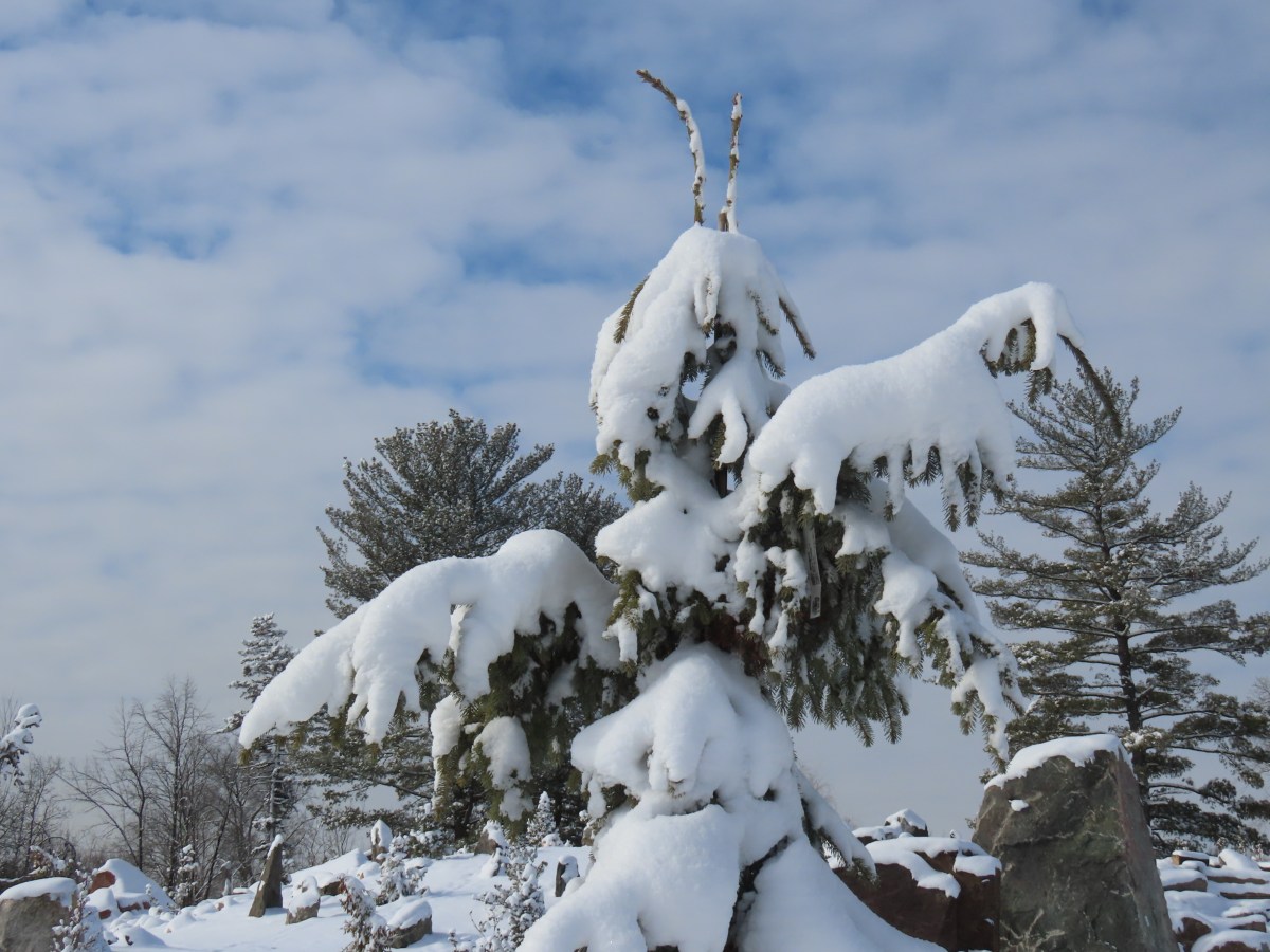 Carpenter Lake: Southfield’s Wildland Gem – Oakland County Blog
