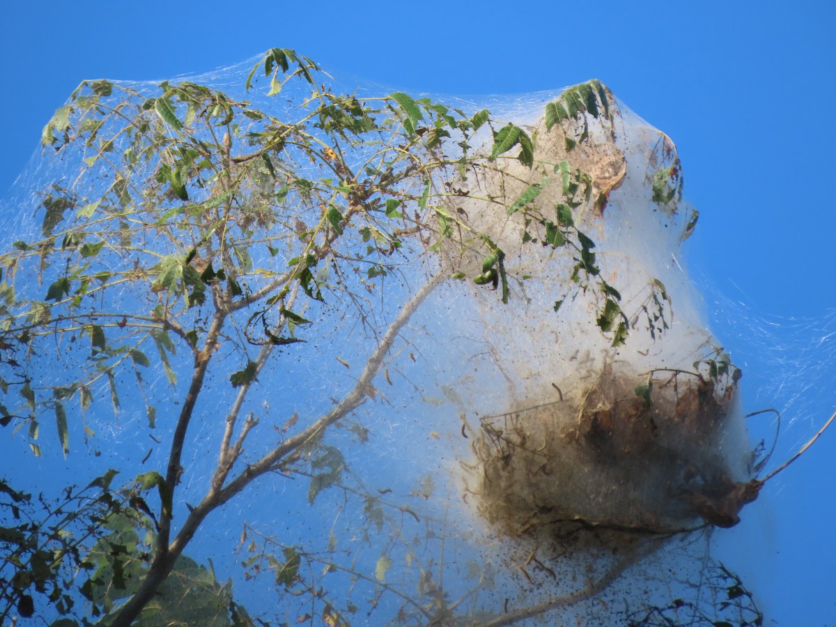 Countdown to Autumn in Oakland County – Oakland County Blog