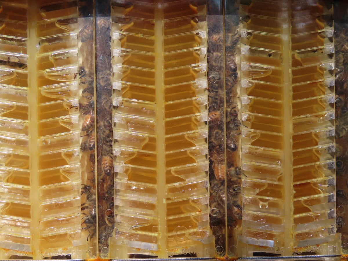 Situational Awareness Adventures – Oakland County Blog