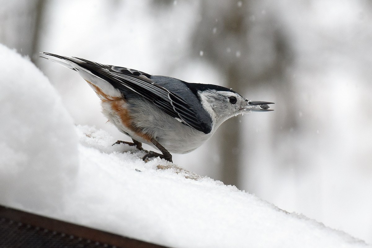 Chills and Thrills at the Nature Center – Oakland County Blog
