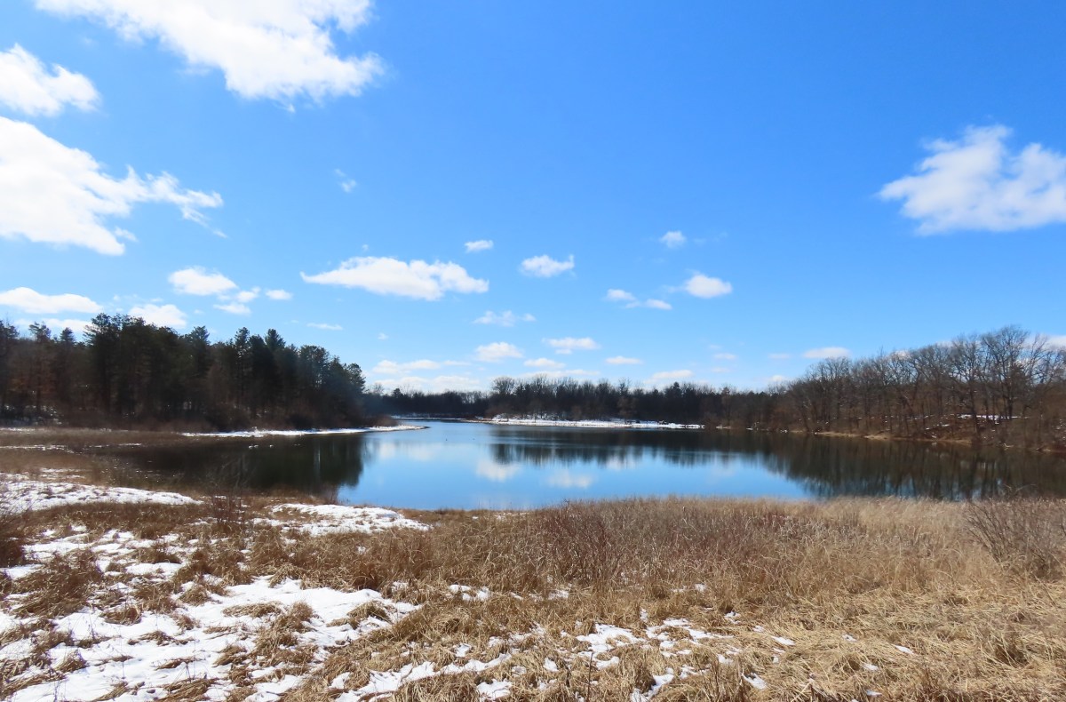 Season of the Sandhills – Oakland County Blog