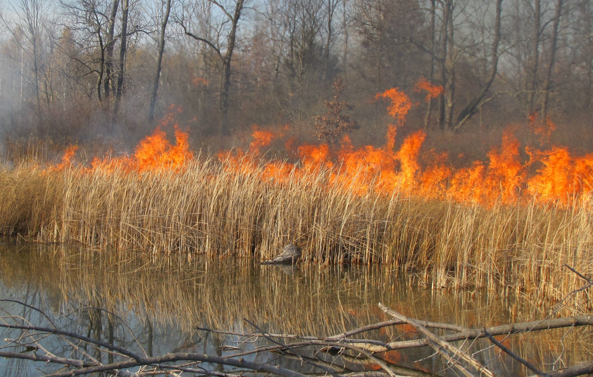 A Prescription To Burn – Oakland County Blog