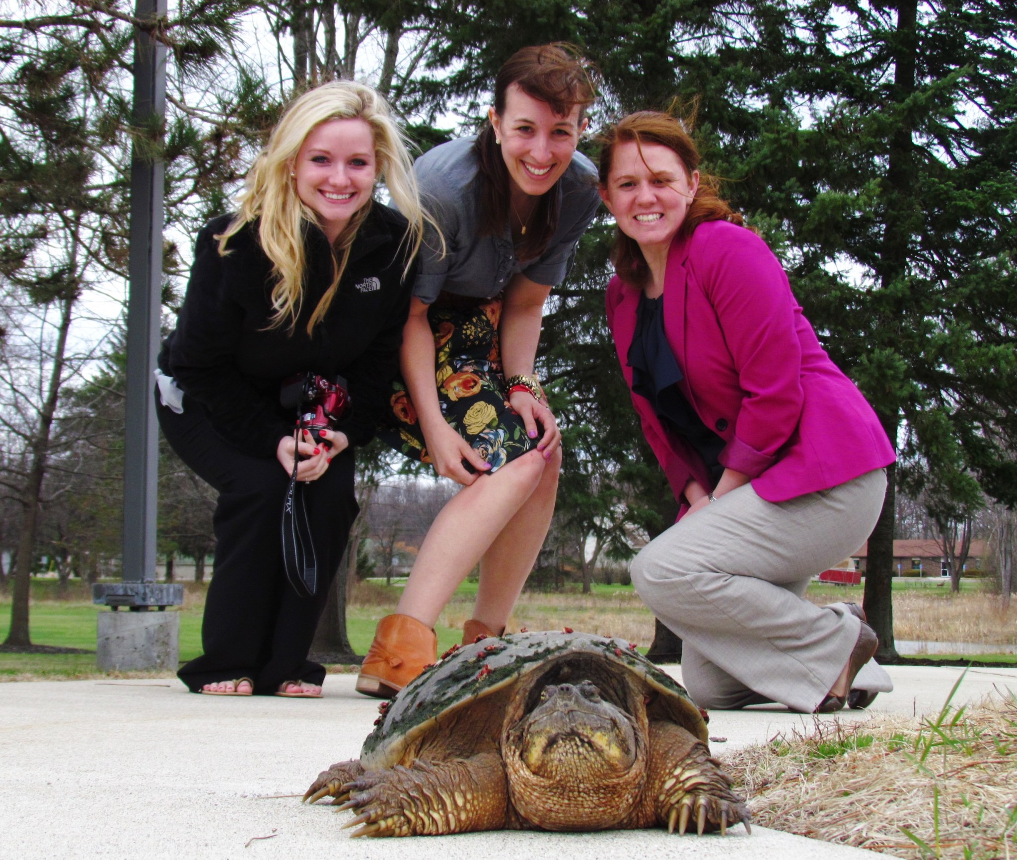 Season of the Snapping Turtle – Oakland County Blog