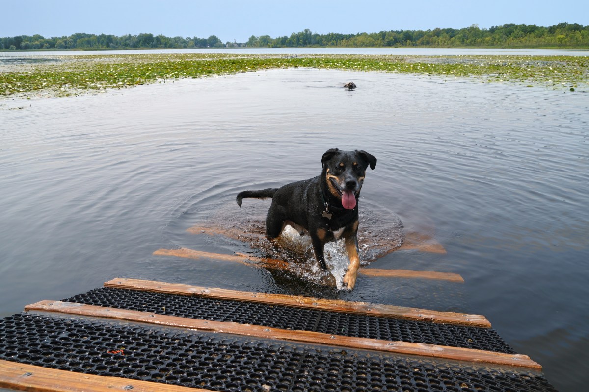 July is Park & Recreation Month in Oakland County – Oakland County Blog