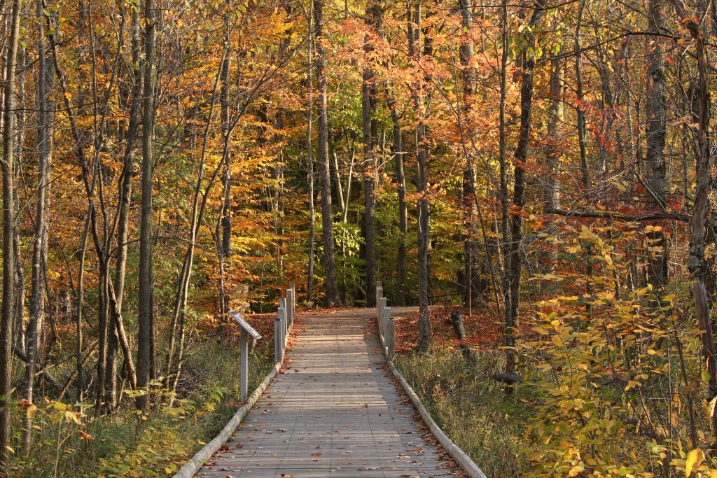 Adaptive Recreation at Oakland County Parks – All Abilities Welcome ...