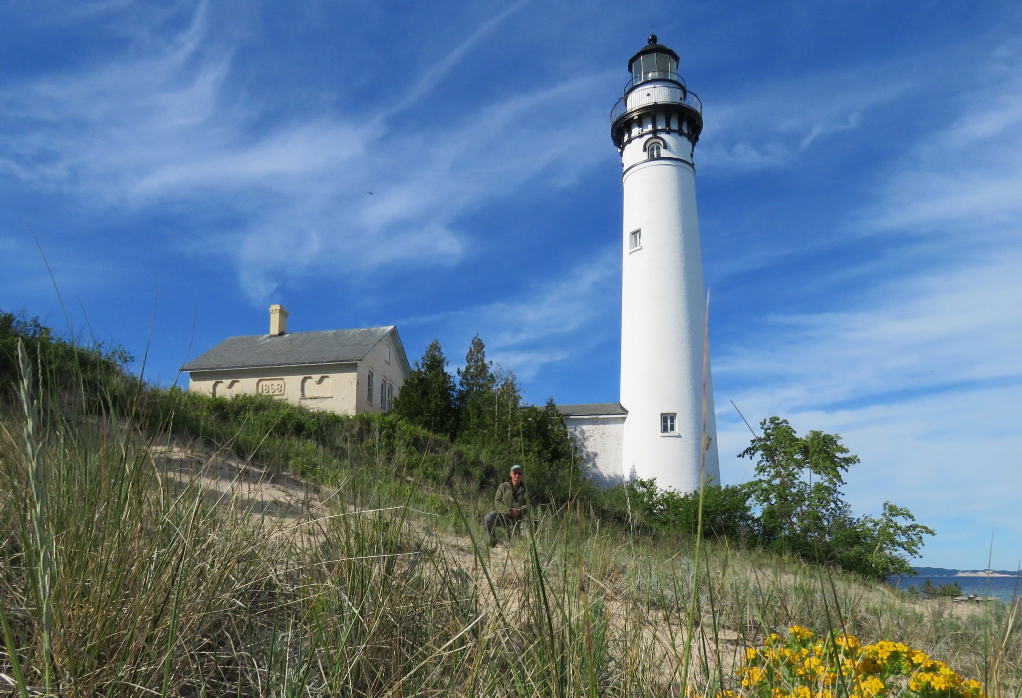 Home Improvement Season for Bald Eagles! – Oakland County Blog